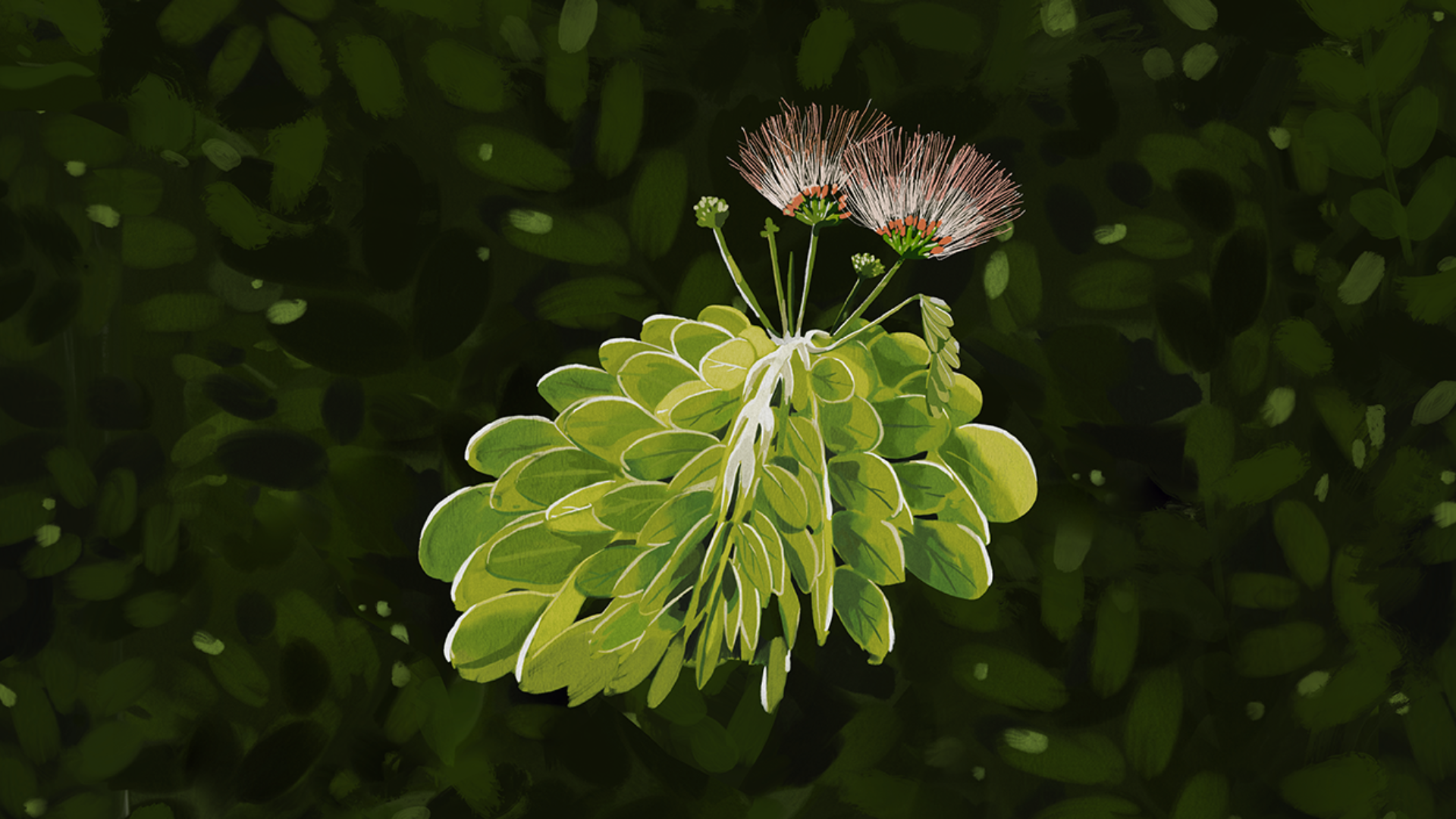 Borey Chankiri Project 2 Coming Soon - Urbanland Asia