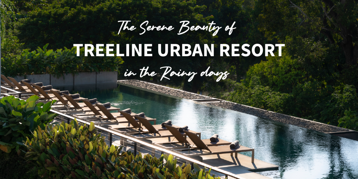 The Serene Beauty of Treeline Urban Resort in the Rainy Days ...